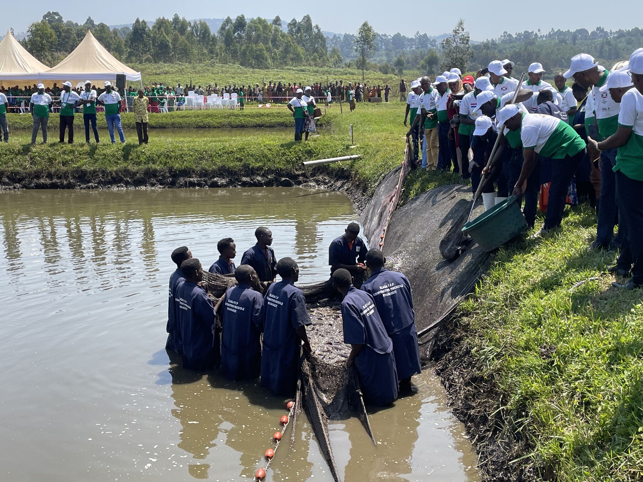 PIP projects implemented, adapted and scaled across countries